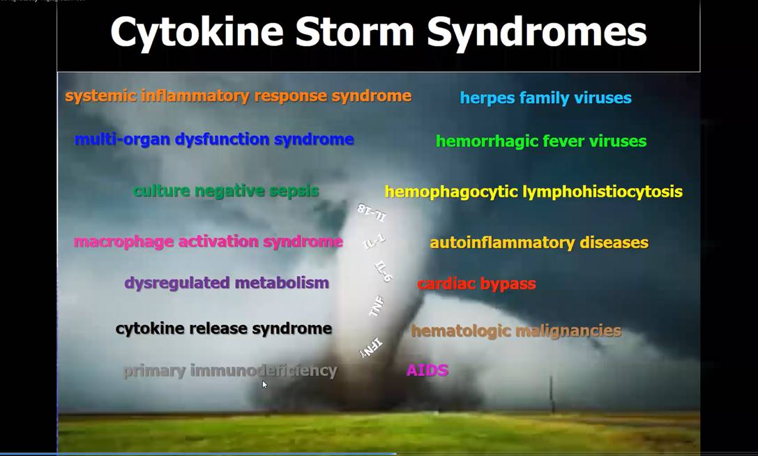 TNR Grand Rounds - Cytokine Storm Syndromes | RheumNow TNR Grand Rounds - Cytokine Storm Syndromes | RheumNow